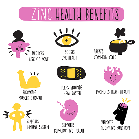 Zinc for Acne: The Missing Piece in Your Clear Skin Routine – DERMALA