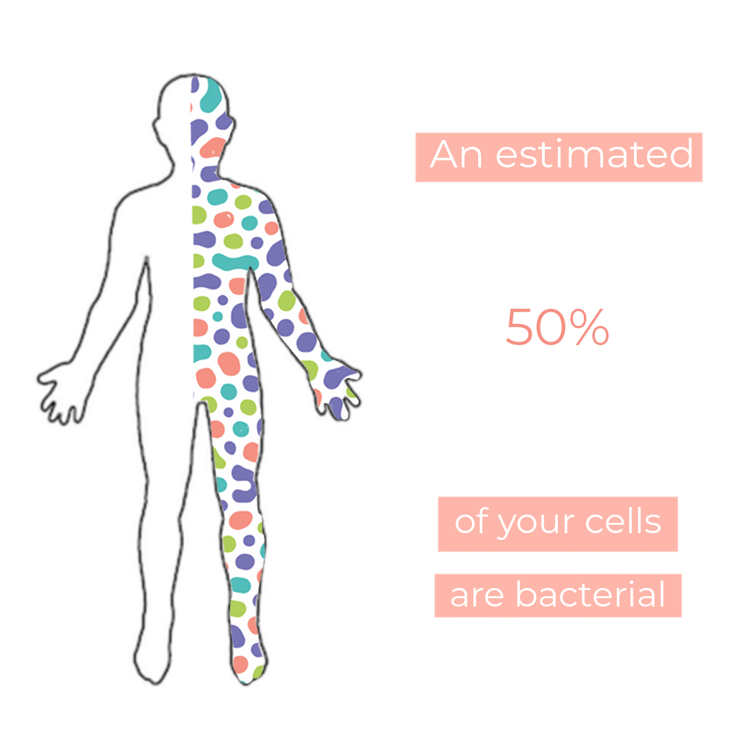 The Microbiome and Acne – DERMALA